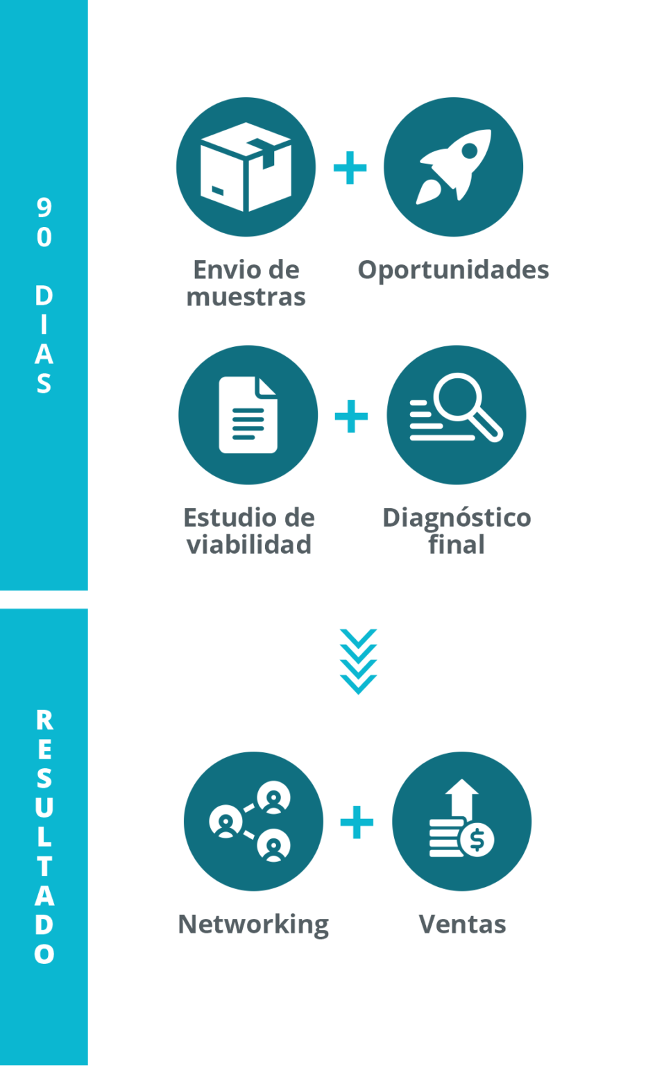 Estudio de Mercado - Red Consulting USA